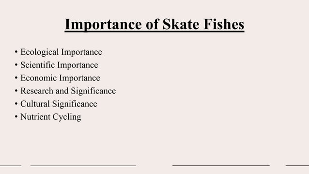 Skate Fish Introduction, Morphology & it's Characteristics. | PDF ...