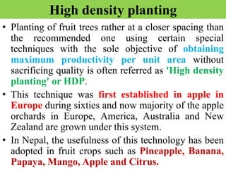 21. Highdensity planting, multistoried cropping and multiple cropping.pptx