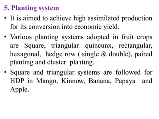 21. Highdensity planting, multistoried cropping and multiple cropping.pptx