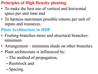 21. Highdensity planting, multistoried cropping and multiple cropping.pptx
