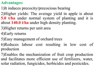 21. Highdensity planting, multistoried cropping and multiple cropping.pptx