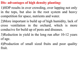 21. Highdensity planting, multistoried cropping and multiple cropping.pptx