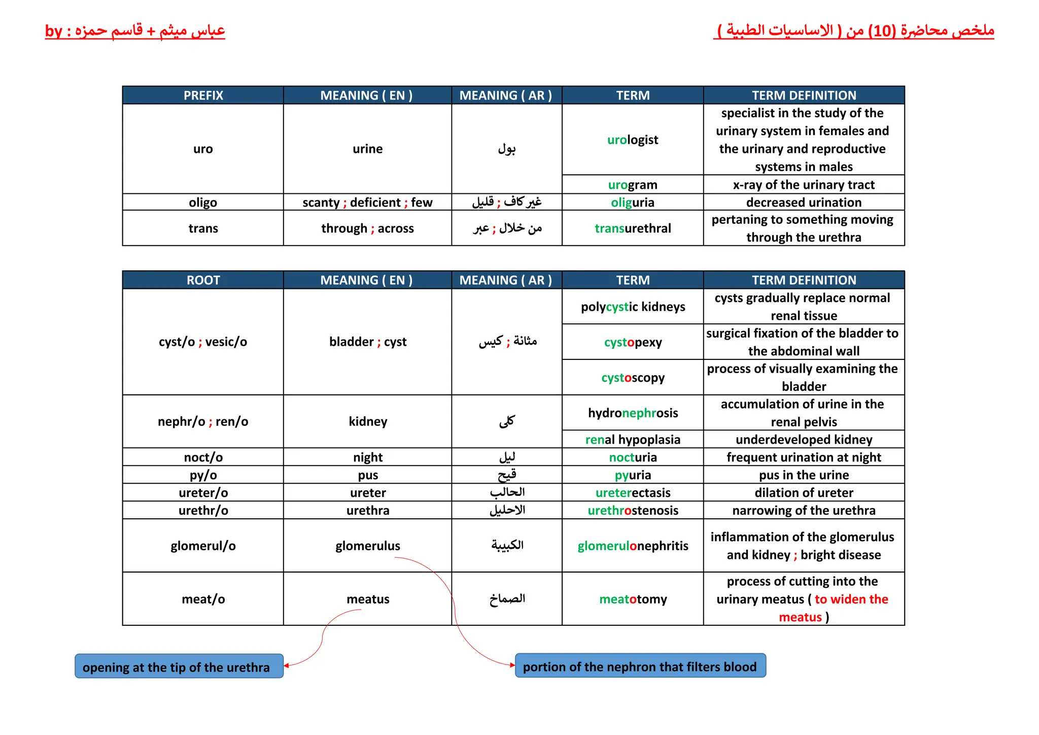 ملخص اساسيات م2 (1).pdfghgygygyfhtftfffg | PDF