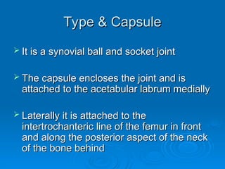 21.Hip Joint.ppt muscle orgin and insertion | PPT