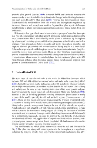 Phytoremediation of Metal and Salt Affected Soil.pdf