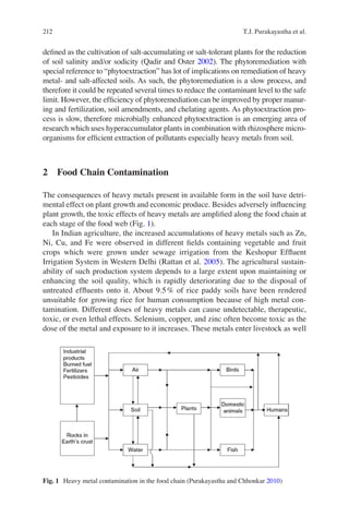 Phytoremediation of Metal and Salt Affected Soil.pdf
