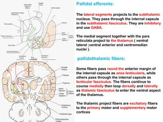 21. Basal ganglion.pptx Anatomy and Applied | PPTX