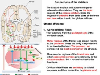 21. Basal ganglion.pptx Anatomy and Applied | PPTX