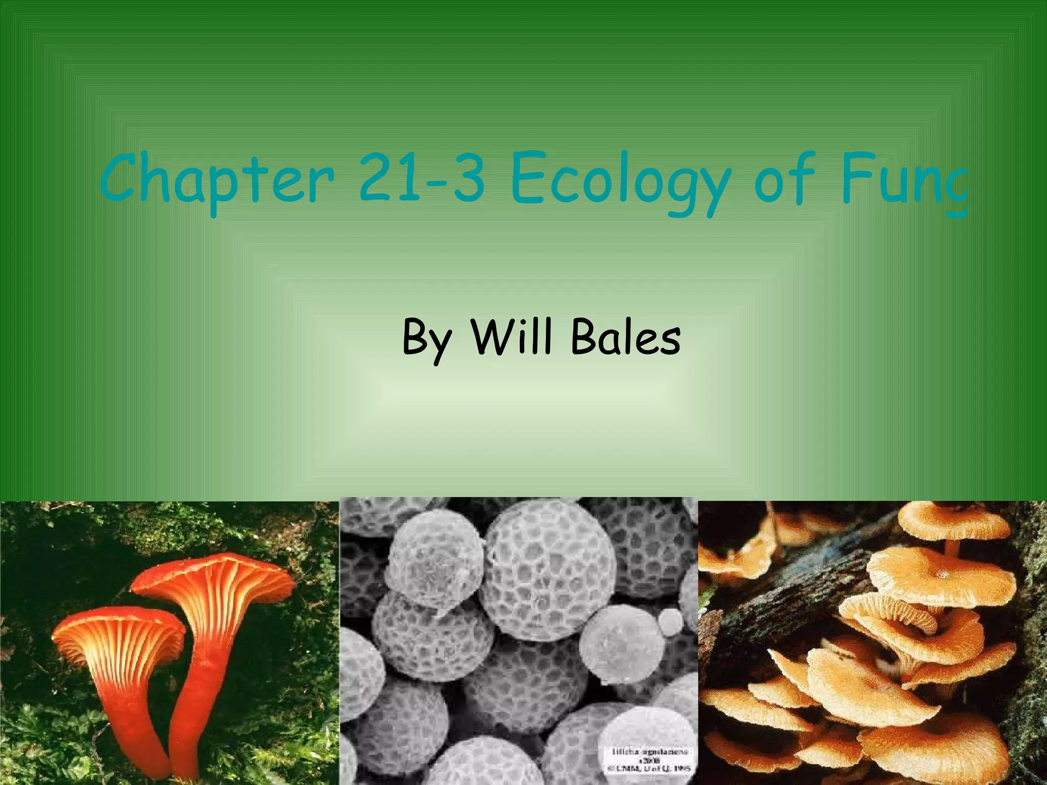 21 3 Ecology Of Fungi | PPT