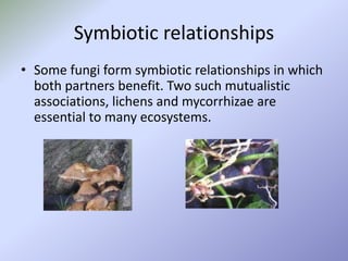 21 3 Ecology Of Fungi | PPTX