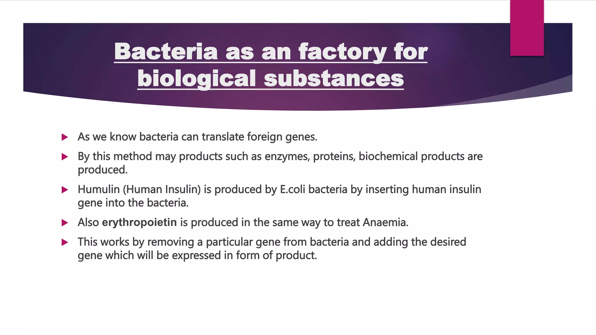 Bacteria Pptx