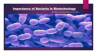 Bacteria.pptx