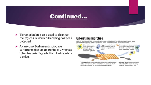 Bacteria Pptx