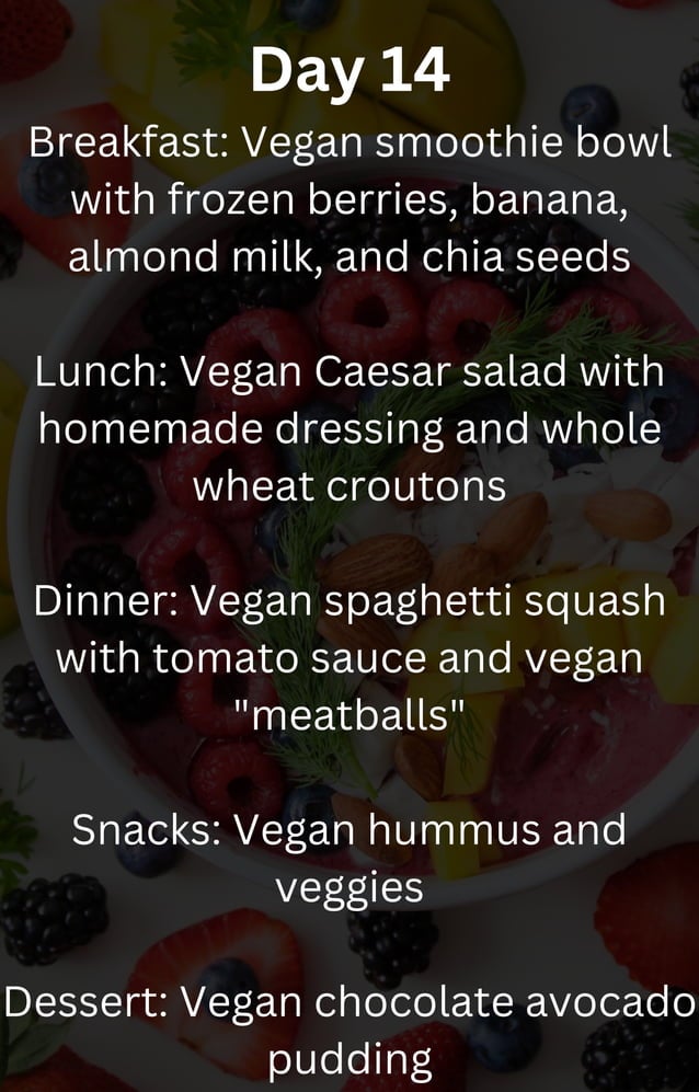 21 Day Vegan Meal Plan Pdf