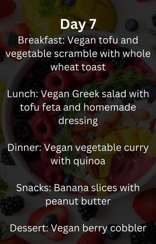 21 Day Vegan Meal Plan Pdf
