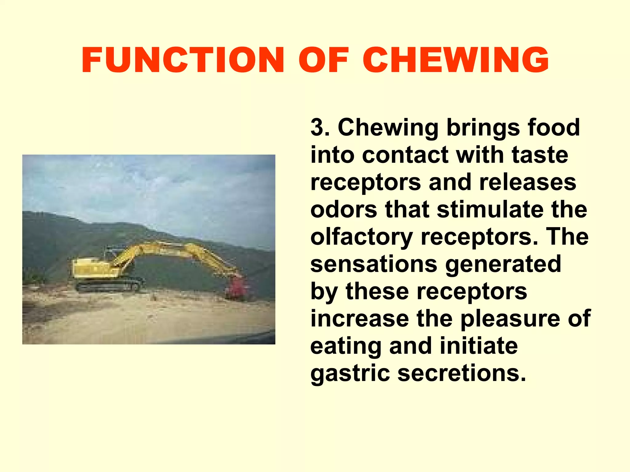 digestive system-1 | PPT