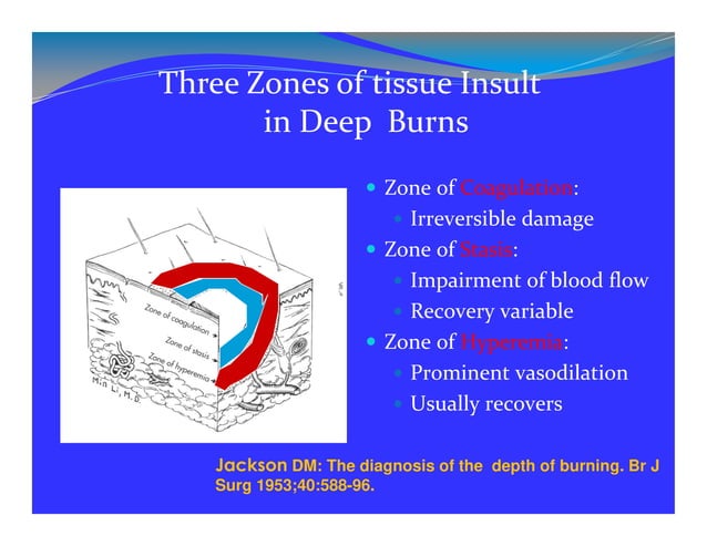 Early excision and grafting for burns | PPT