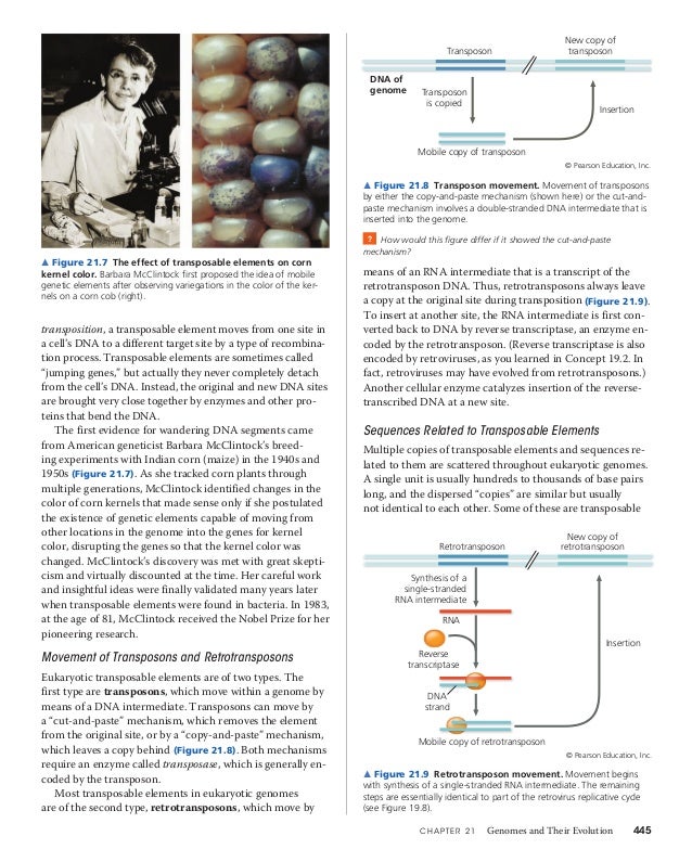 21 Genomes And Their Evolution
