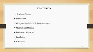 Antifungal activity | PPTX