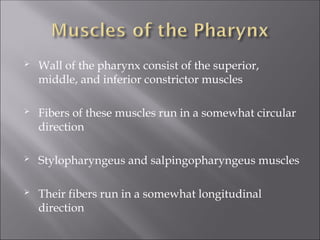 Basic Anatomy of Pharynx for students. ppt | PPT