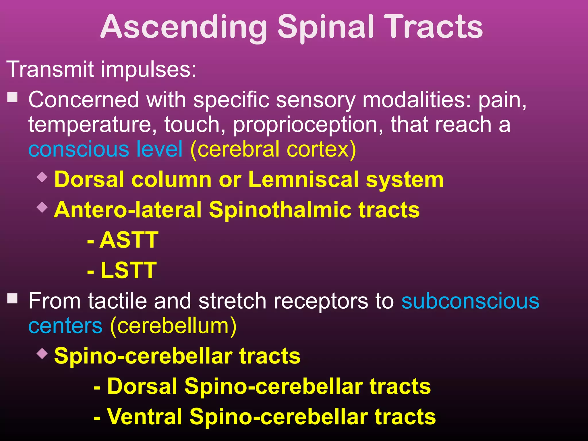 21 spinal cord tracts iby prc | PPT