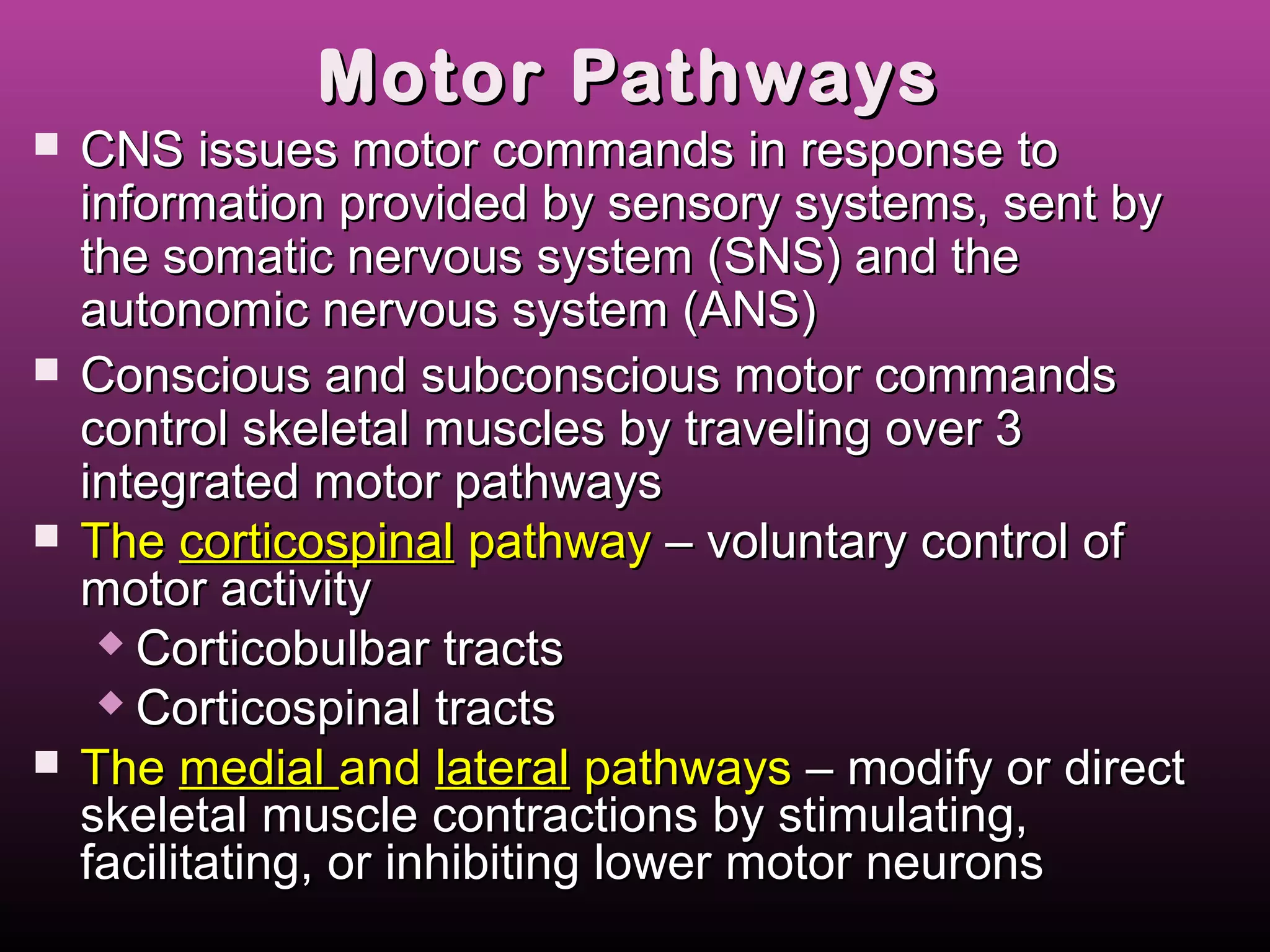 21 spinal cord tracts iby prc | PPT
