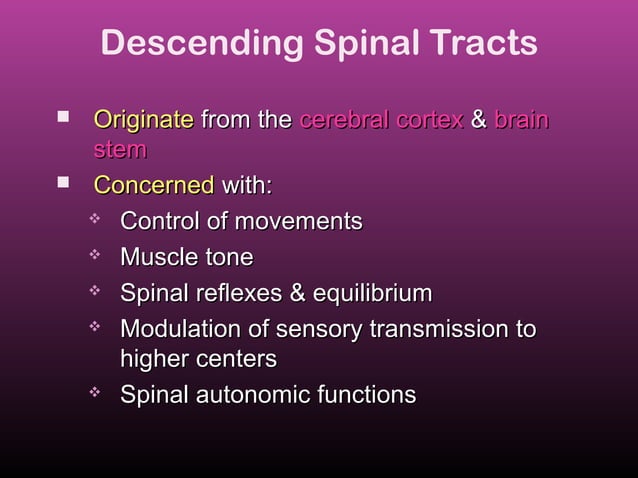 21 spinal cord tracts iby prc | PPT