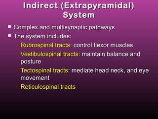 21 spinal cord tracts iby prc | PPT