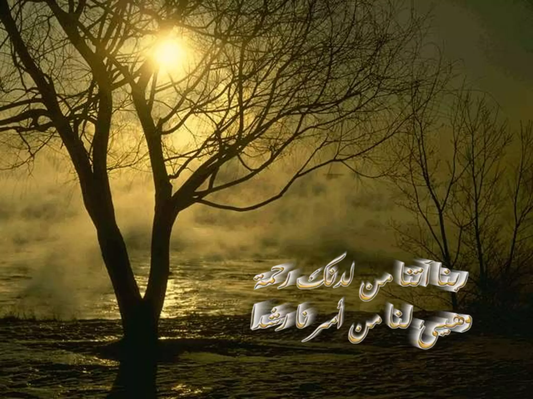 Temporary removable partial dentures | PPT