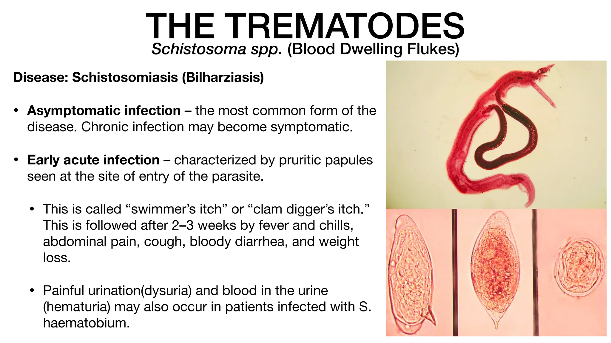 The Parasitic Infections of Humans (Part 3 - Trematodes).pdf