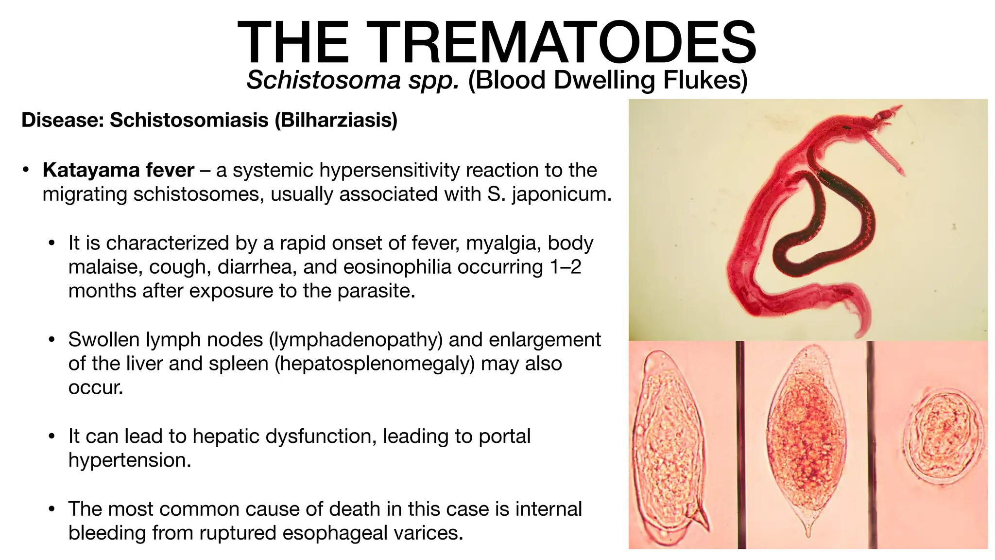 The Parasitic Infections of Humans (Part 3 - Trematodes).pdf