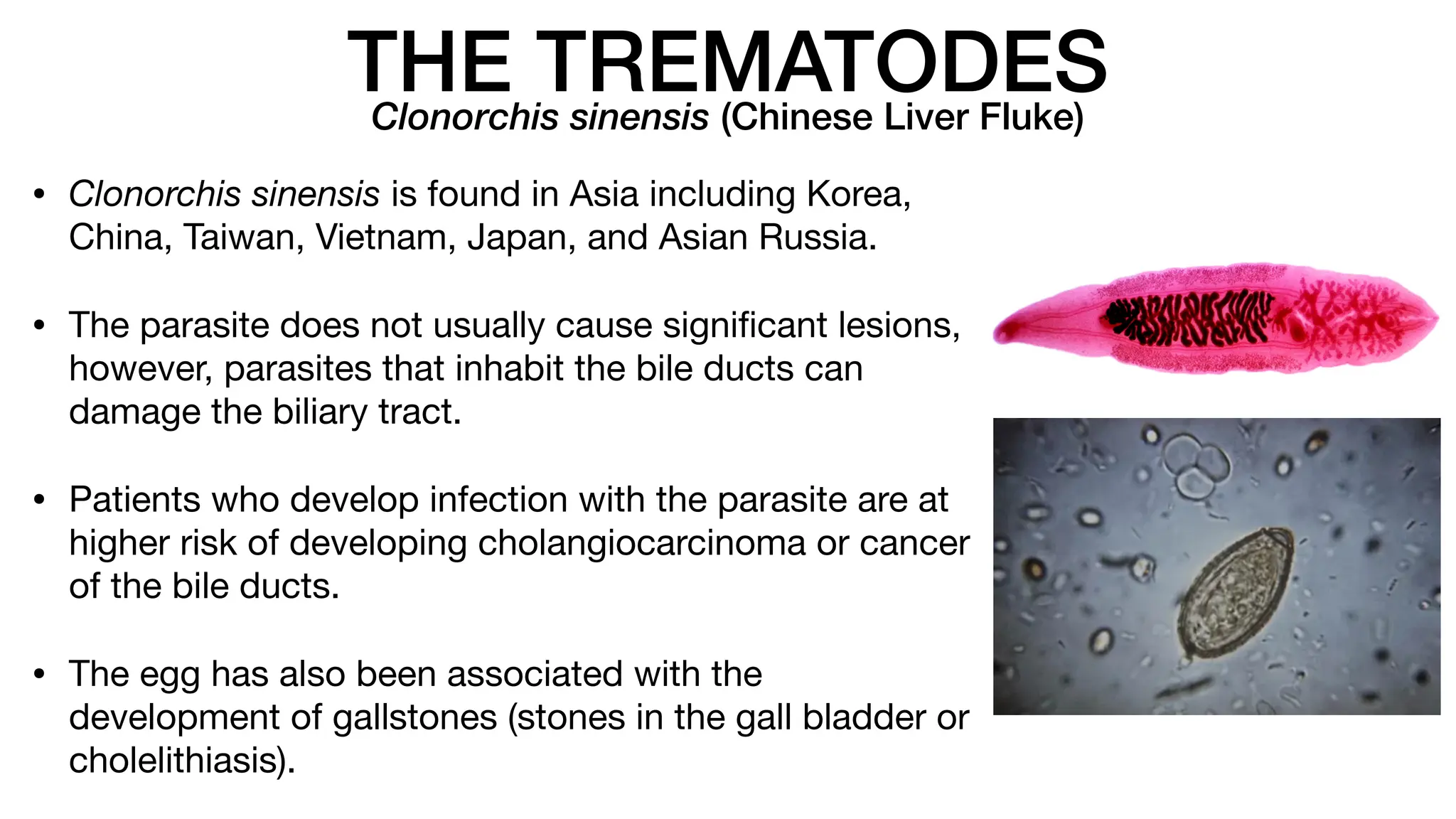 The Parasitic Infections of Humans (Part 3 - Trematodes).pdf