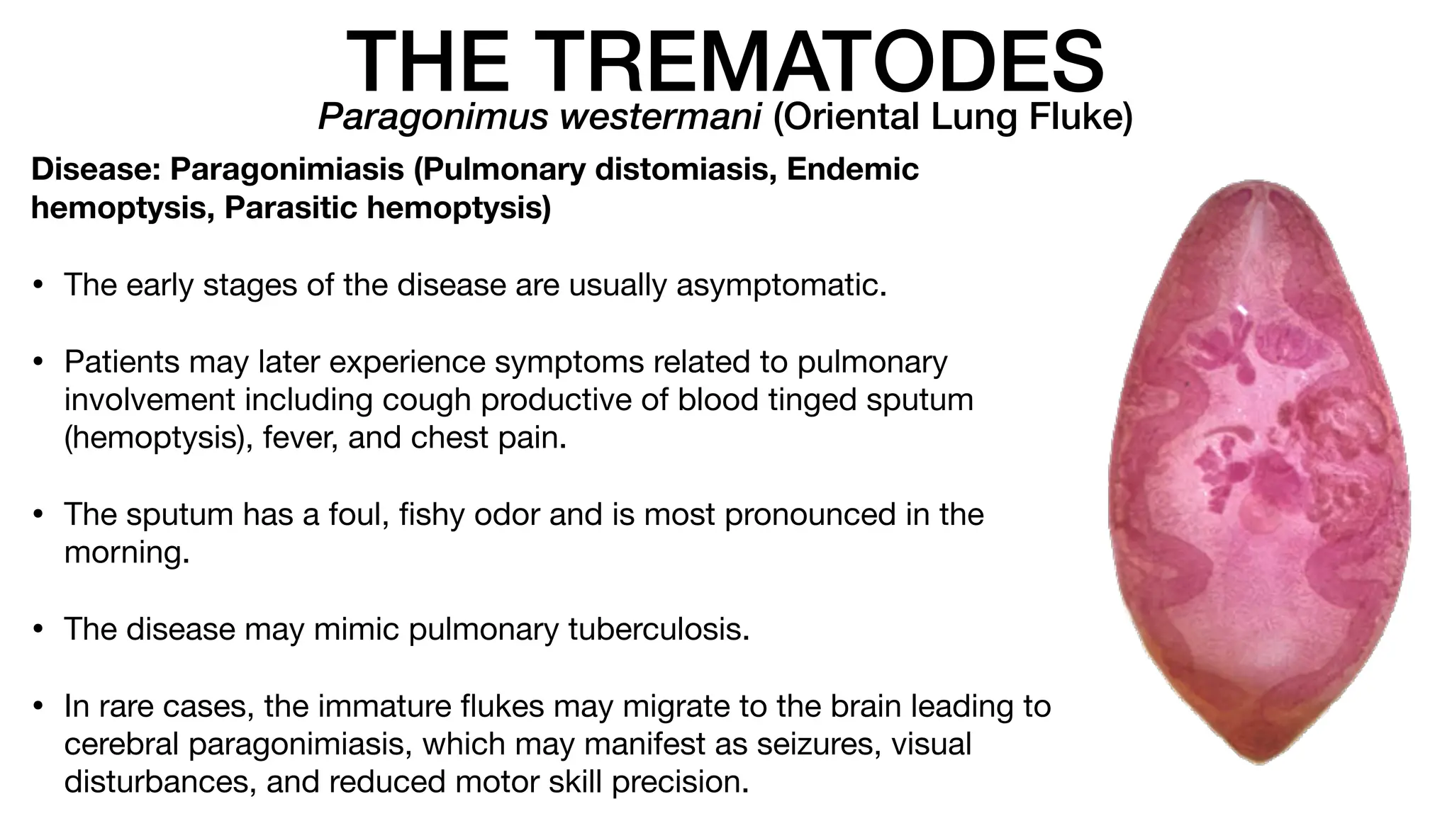 The Parasitic Infections of Humans (Part 3 - Trematodes).pdf