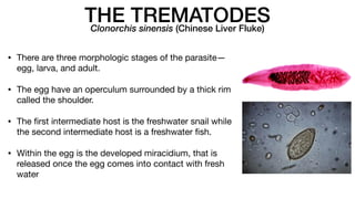 The Parasitic Infections of Humans (Part 3 - Trematodes).pdf