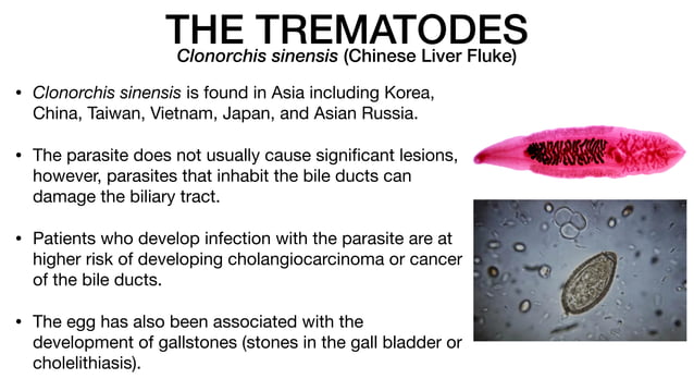 The Parasitic Infections of Humans (Part 3 - Trematodes).pdf