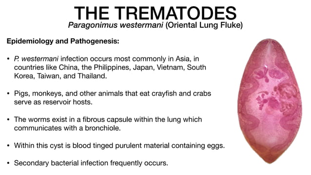 The Parasitic Infections of Humans (Part 3 - Trematodes).pdf