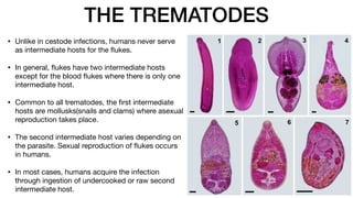 The Parasitic Infections of Humans (Part 3 - Trematodes).pdf ...