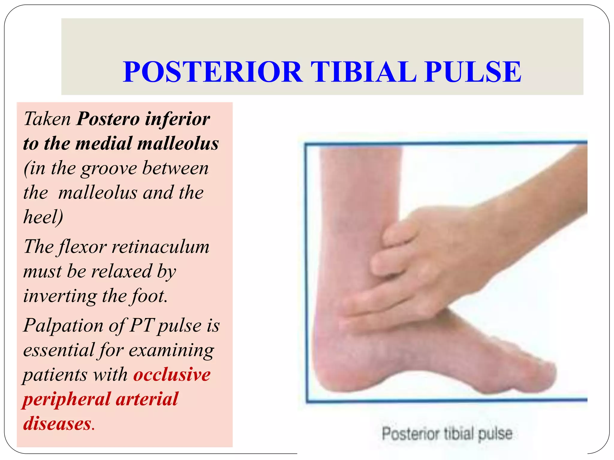 21-Vascular anatomy of the lower limb.pptx