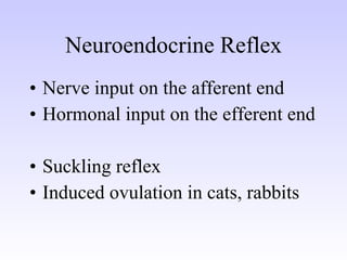 21 V S 223 The Endocrine System | PPT
