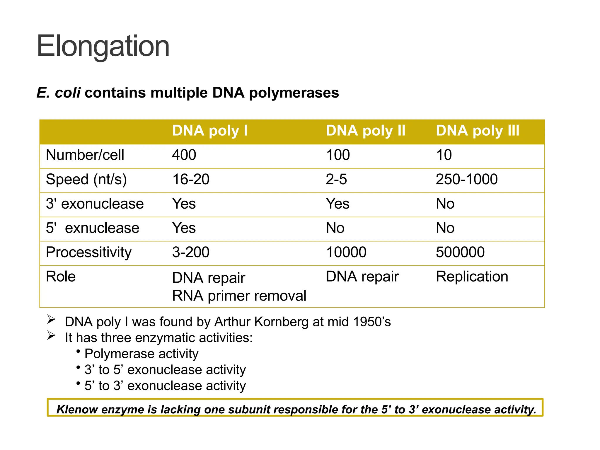 2100292014DNA replication in prokaryotes.pptx