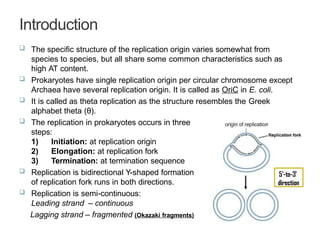 2100292014DNA replication in prokaryotes.pptx