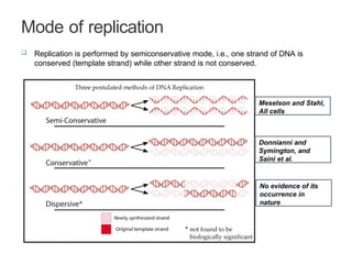 2100292014DNA replication in prokaryotes.pptx