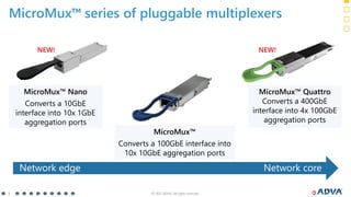 Taking MicroMux to the edge and the core | PPT