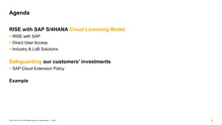 210316_rise_with_sap_s4hana_cloud_license_overview.pdf