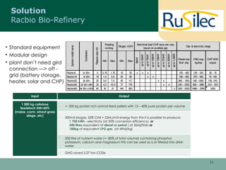 RuSiTec and iRCB presentation | PDF