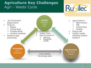 RuSiTec and iRCB presentation | PDF