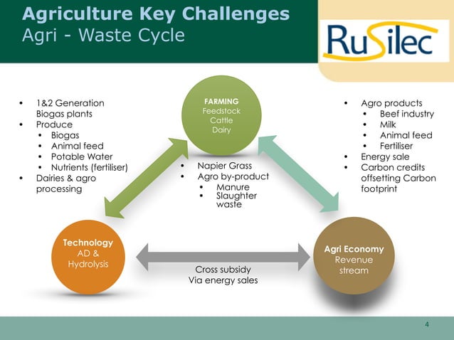 RuSiTec and iRCB presentation | PDF