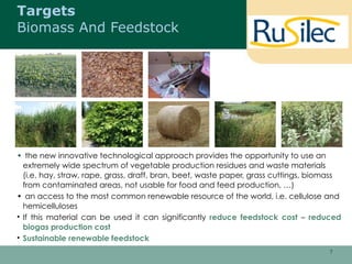 RuSiTec and iRCB presentation | PDF