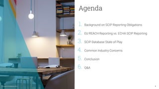 SCIP Reporting on Complex Products | PDF