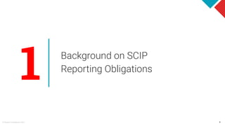 SCIP Reporting on Complex Products | PDF